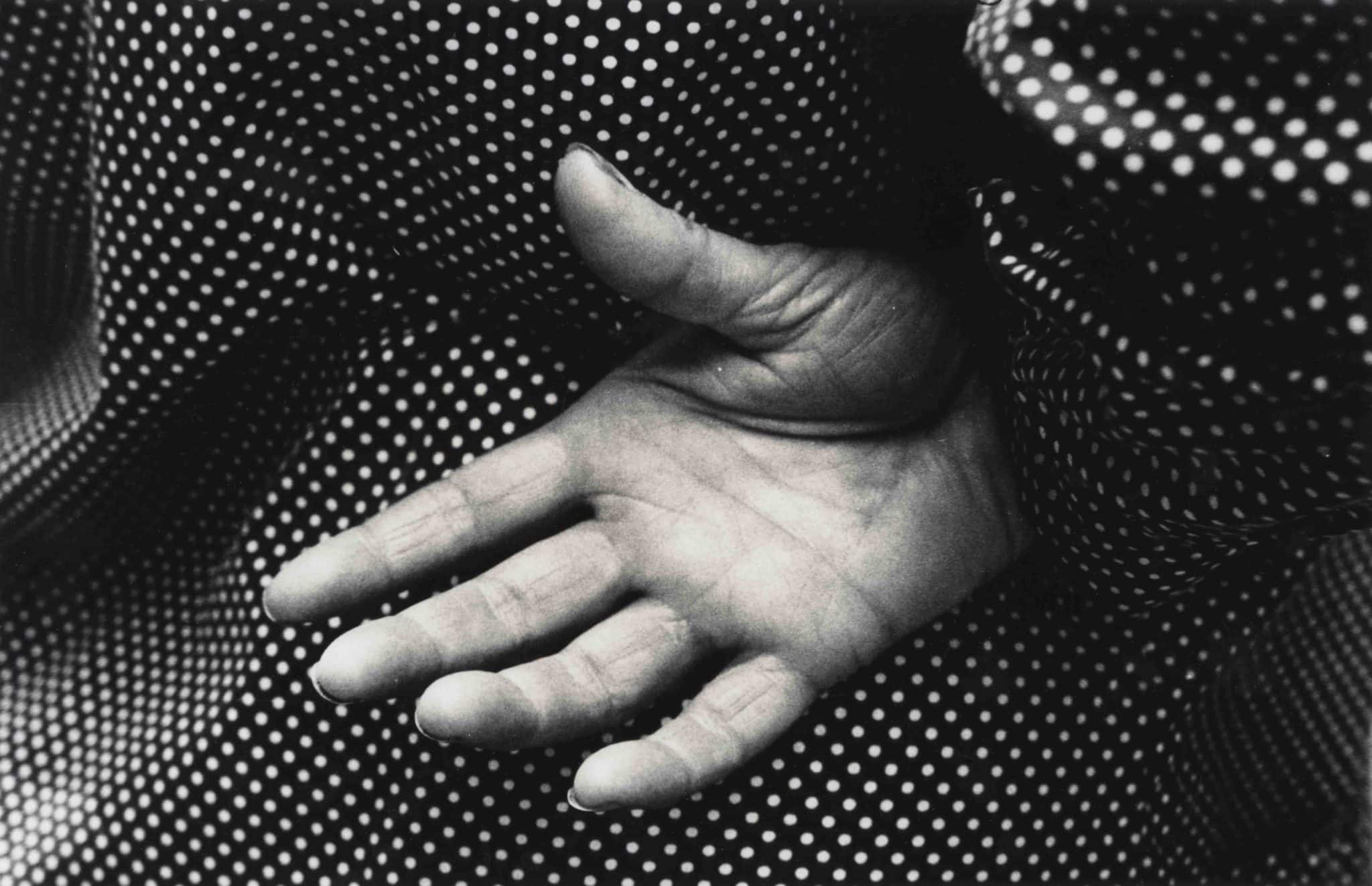 La fotografía poética de Luis Brito - El Diario Venezuela - elDiario.com