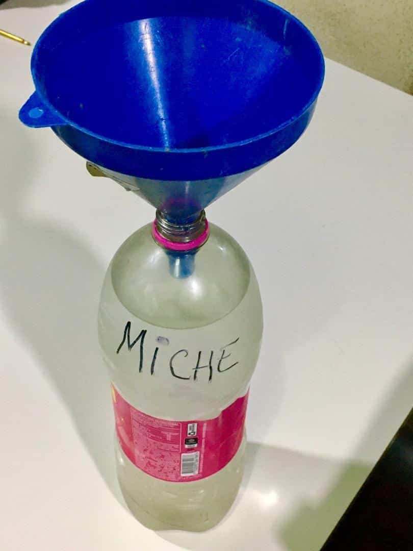 Miche artesanal, la alternativa ante el alto costo de licores en ...
