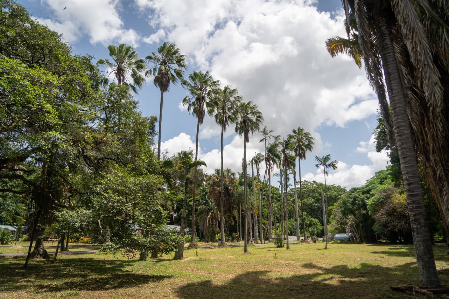 Guía de sitios abiertos para disfrutar de la naturaleza en Caracas