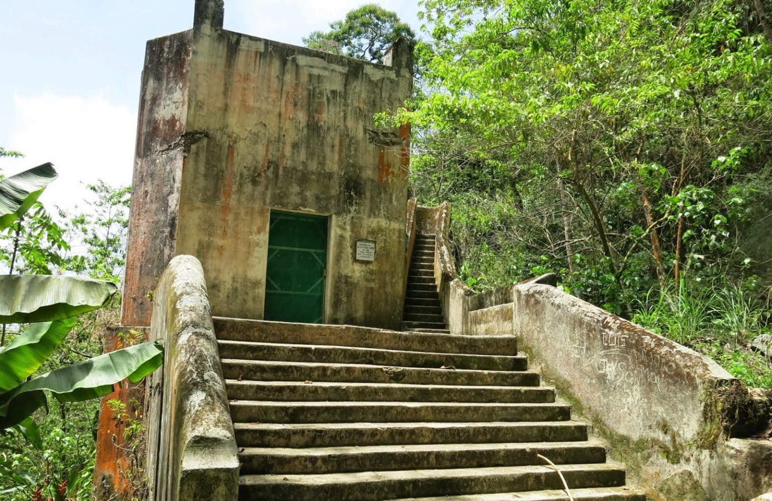 Las momias del Dr. Knoche