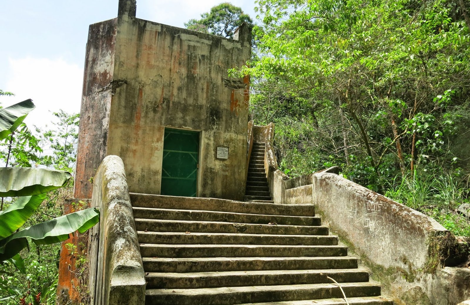 Las momias del Dr. Knoche