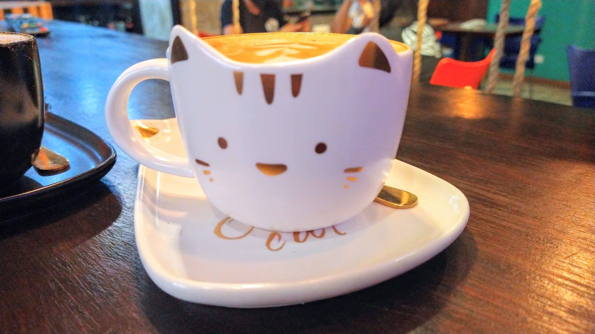 Cafeterías de gatos en Venezuela, una tendencia en ascenso