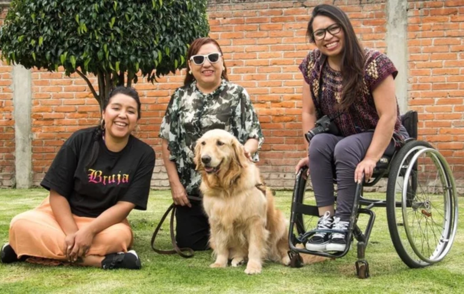 Perro guía: ¿cómo certificar a uno y cuándo es necesario?