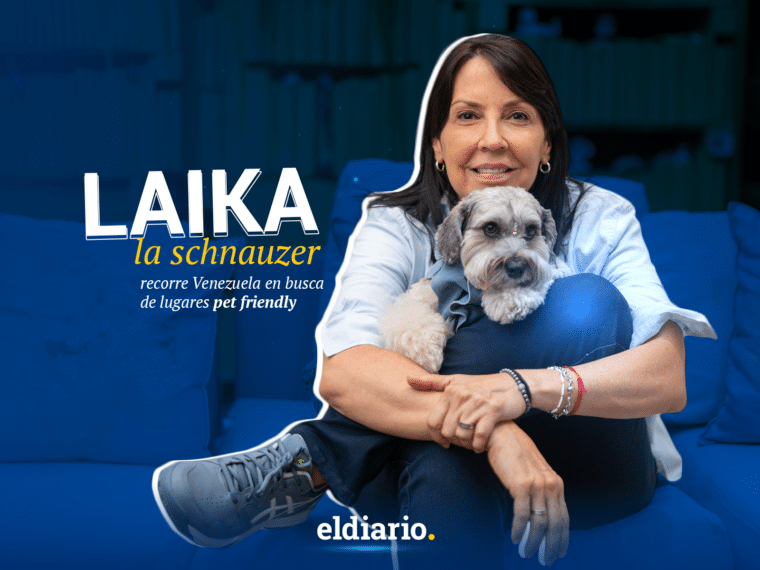 Laika la schnauzer recorre Venezuela para buscar sitios pet friendly