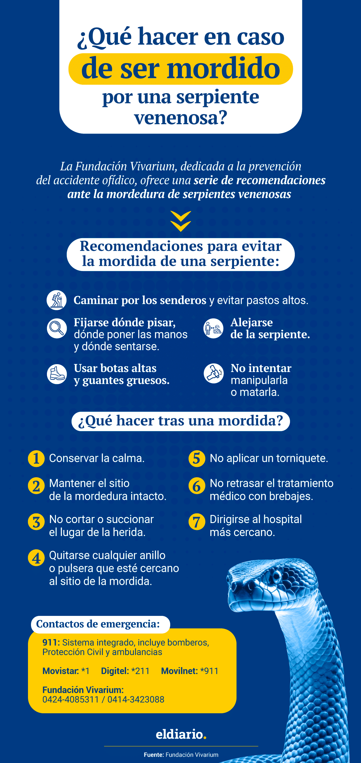 Cómo Prevenir La Mordedura De Serpiente